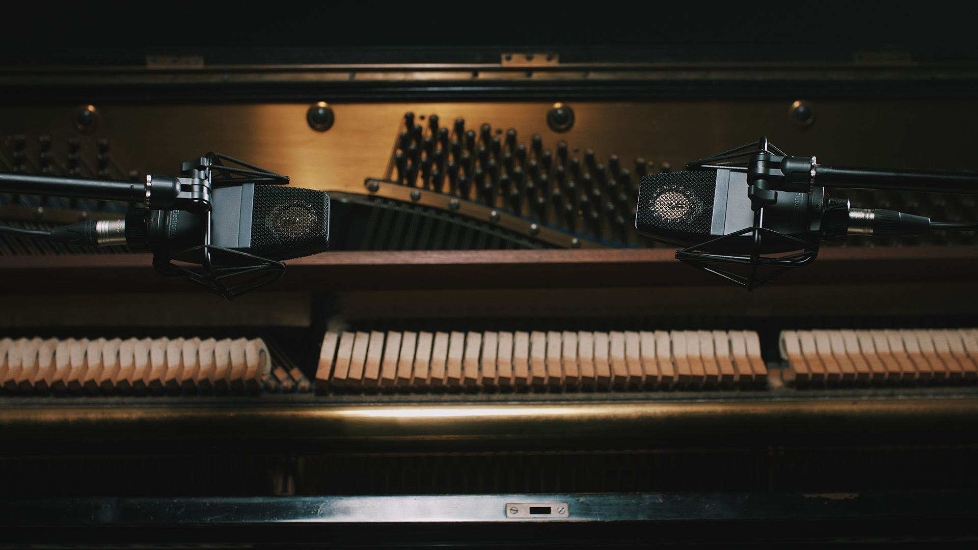 LARGE-DIAPHRAGM CONDENSERS - sE Electronics